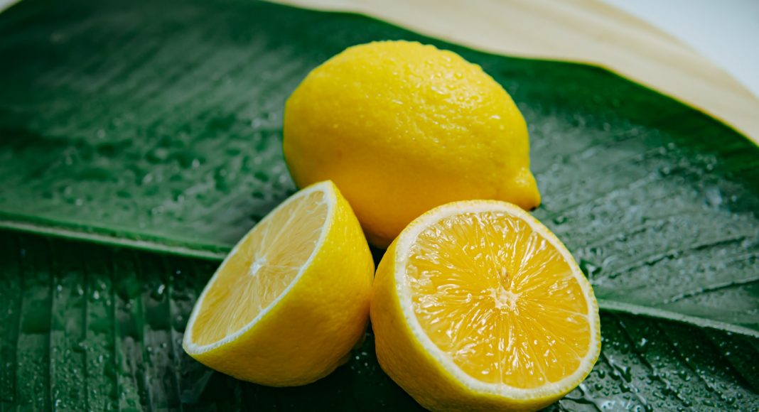 Limun za zdravlje: Ljekovita svojstva koja svi trebaju znati